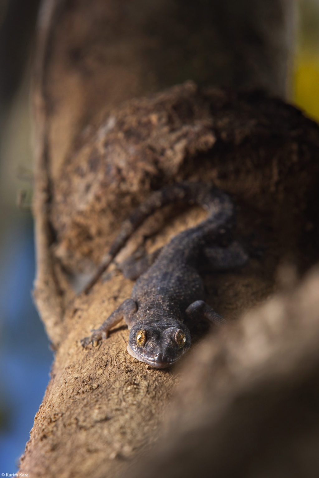 Photographer of the Year 2021 Weekly Selection: Week 10 - Africa Geographic