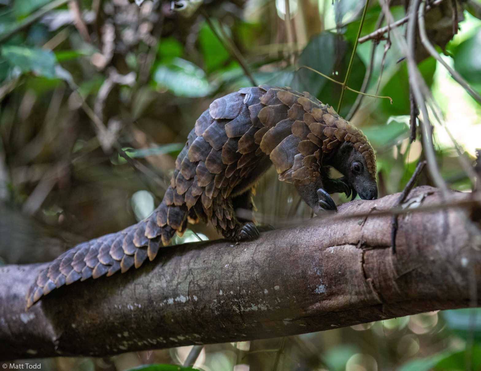 Photographer of the Year 2021 Weekly Selection: Week 9 - Africa Geographic