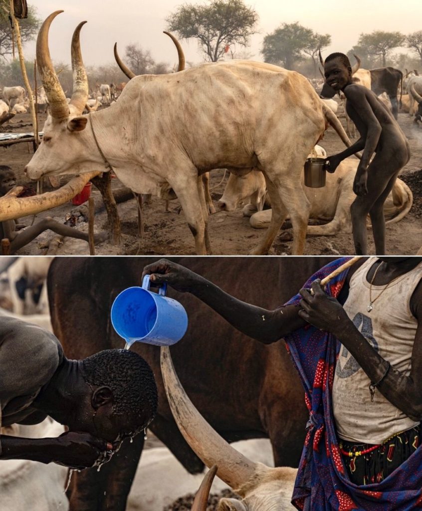 The Mundari people of South Sudan - Africa Geographic