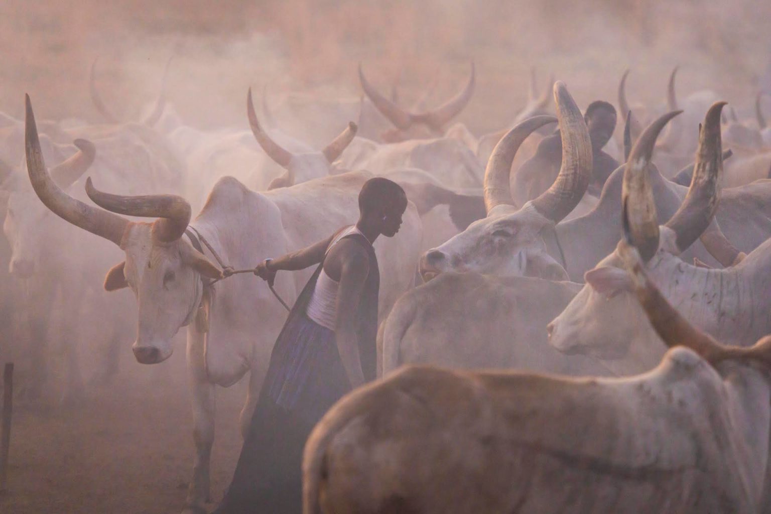 The Mundari people of South Sudan - Africa Geographic