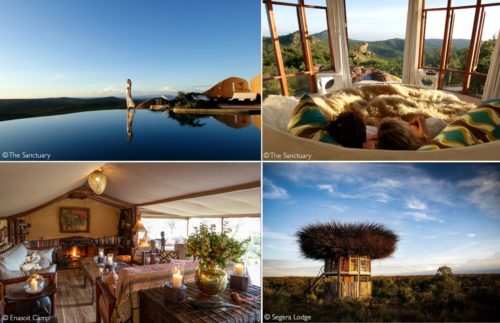 Come on a Laikipia safari with us