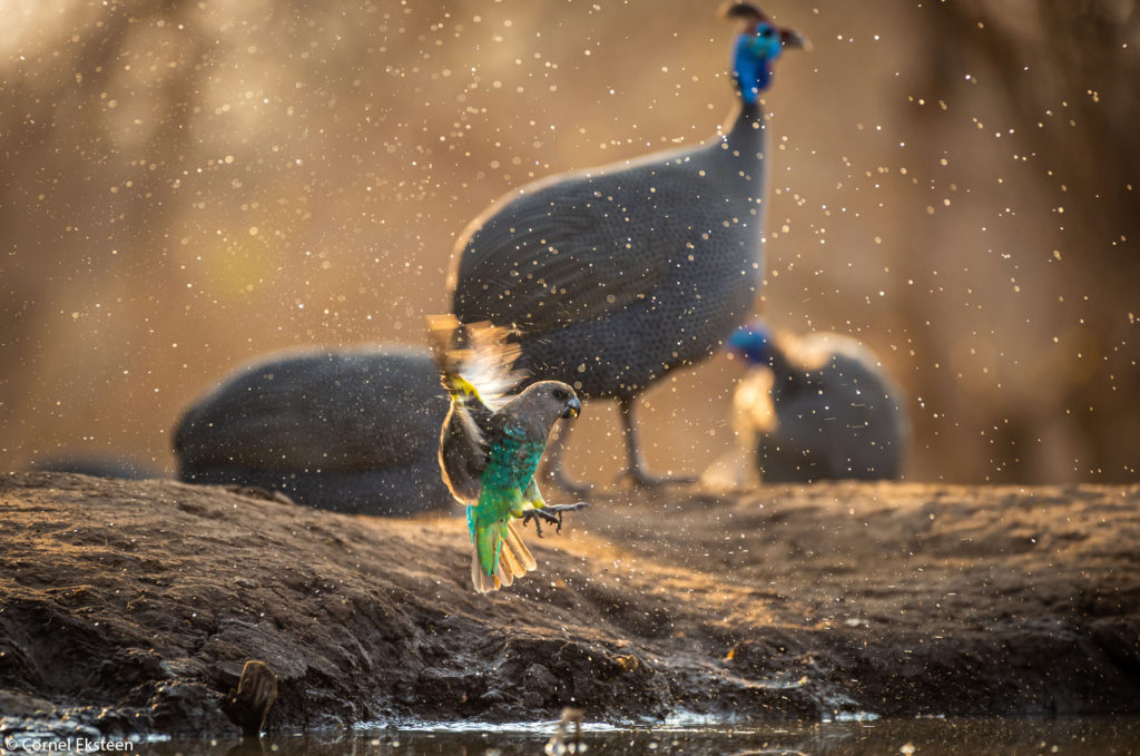 Photographer of the Year 2021 Weekly Selection: Week 15 - Africa Geographic