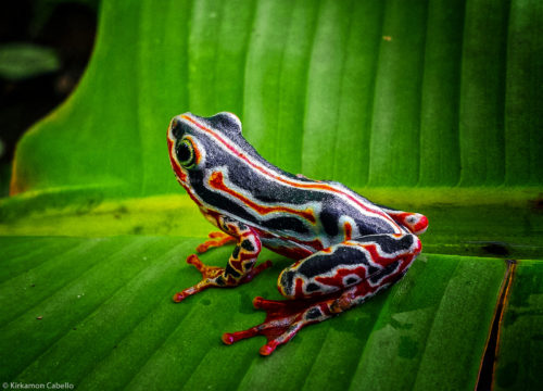 Photographer of the Year 2021 Weekly Selection: Week 13 - Africa Geographic