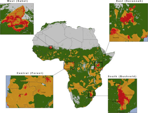 Elephant range is just a fraction of its potential - Africa Geographic