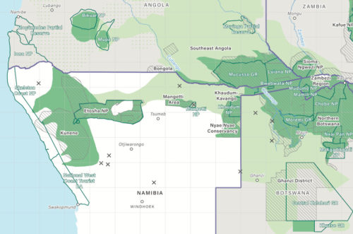 It’s true – elephants are thriving in Namibia - Africa Geographic