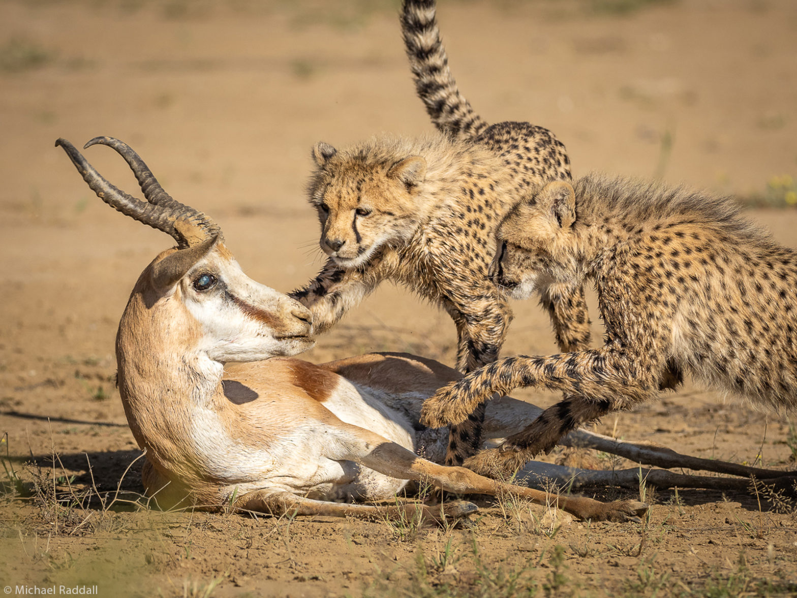 Photographer of the Year 2021 Weekly Selection: Week 13 - Africa Geographic