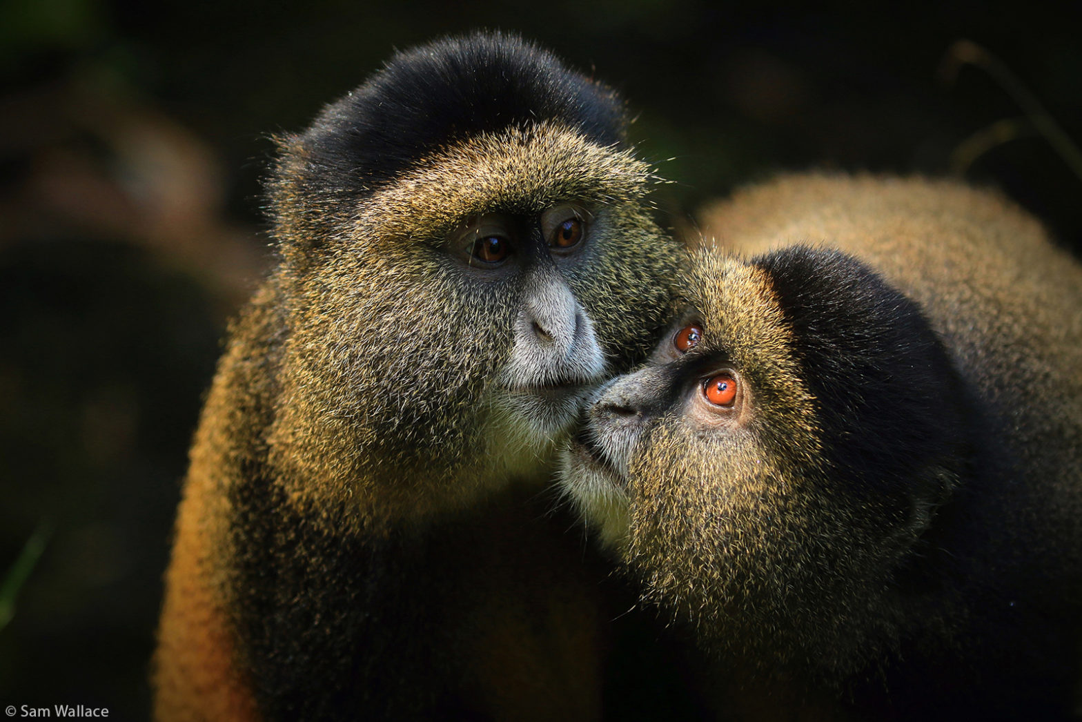 Photographer of the Year 2021 Weekly Selection: Week 14 - Africa Geographic