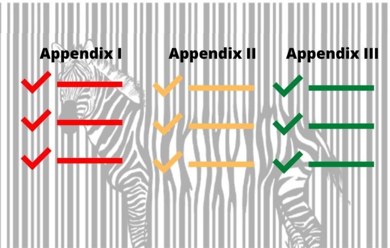 Changes to CITES listing process recommended - Africa Geographic