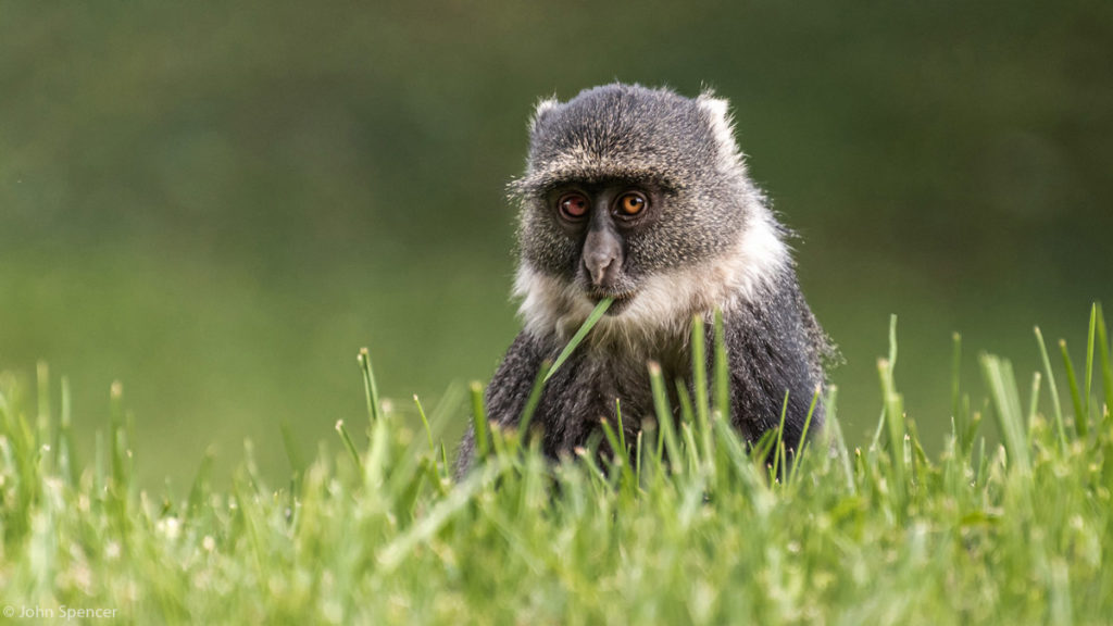 Photographer of the Year 2021 Weekly Selection: Week 19 - Africa Geographic