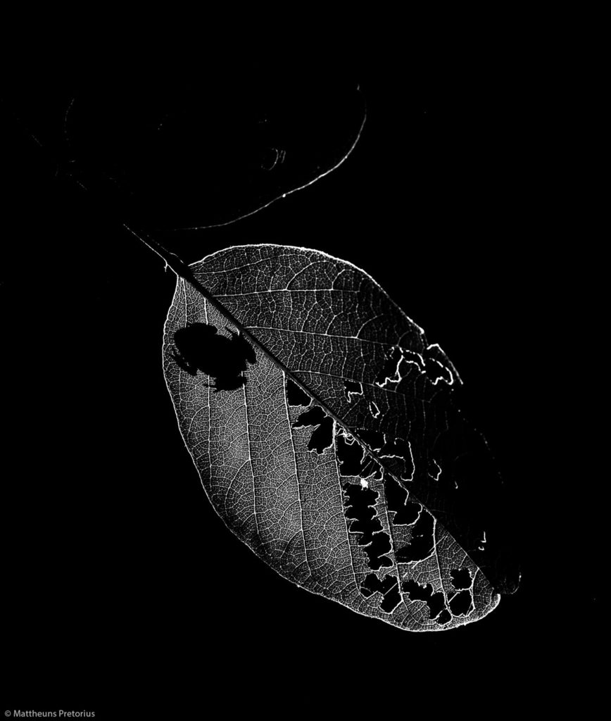 Photographer of the Year 2021 Weekly Selection: Week 19 - Africa Geographic