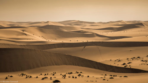 Photographer of the Year 2021 Weekly Selection: Week 19 - Africa Geographic