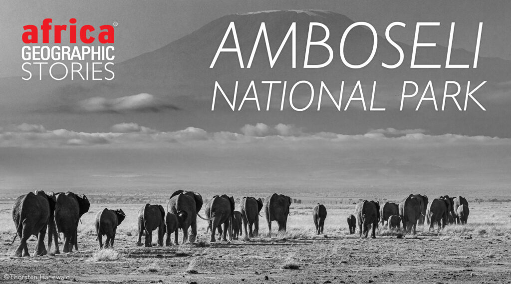 Amboseli National Park - Kenya - Africa Geographic