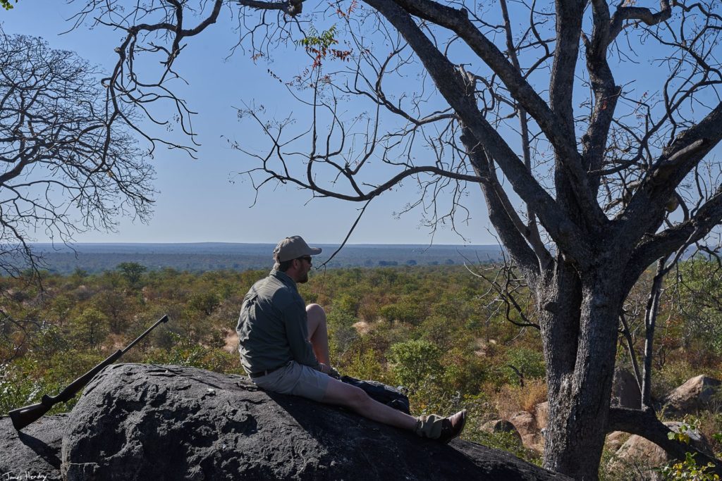 Mthimkhulu Game Reserve - a dream deferred - Africa Geographic
