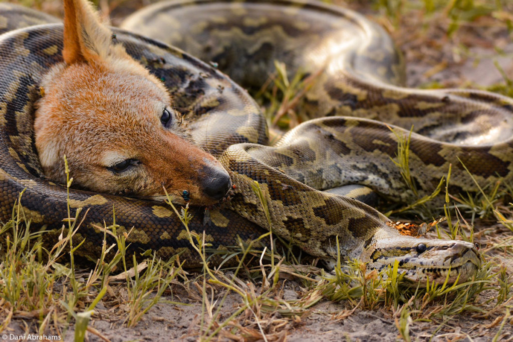 Photographer of the Year 2021 Weekly Selection: Top 101 - Gallery 2 ...