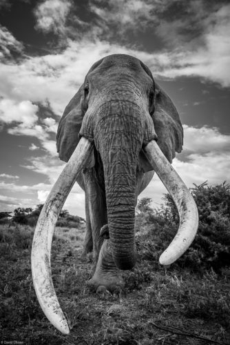 Photographer of the Year 2021 Weekly Selection: Top 101 - Gallery 2 ...