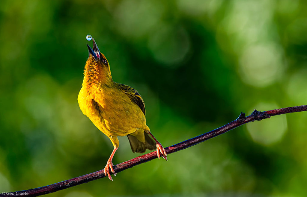 Photographer of the Year 2021 Weekly Selection: Week 21 - Africa Geographic