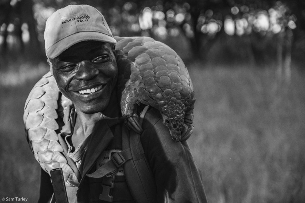 Photographer of the Year 2021 Winners - Africa Geographic