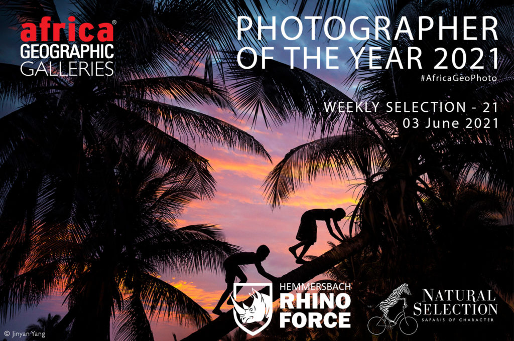 Photographer of the Year 2021 Weekly Selection: Week 21 - Africa Geographic