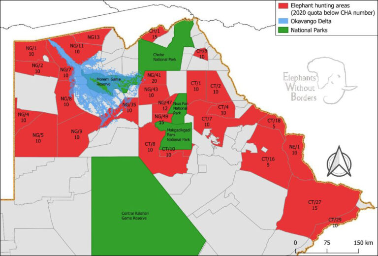 Another giant elephant trophy hunted - is this conservation? - Africa ...