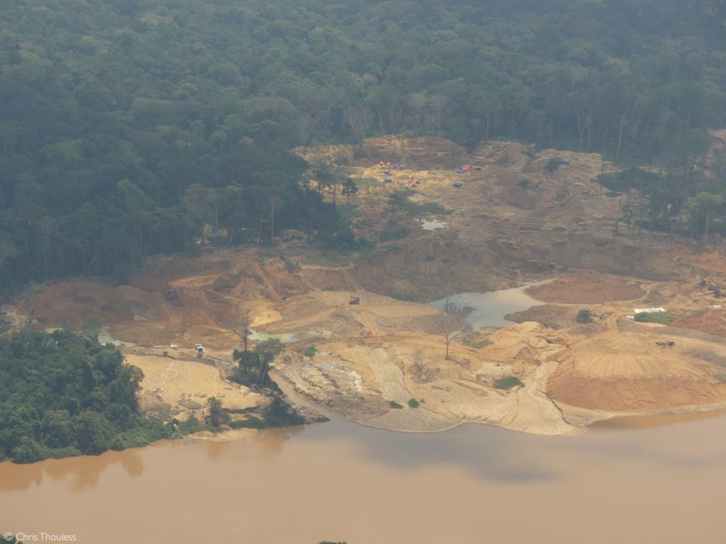 Forest elephant - endangered gardeners - Africa Geographic