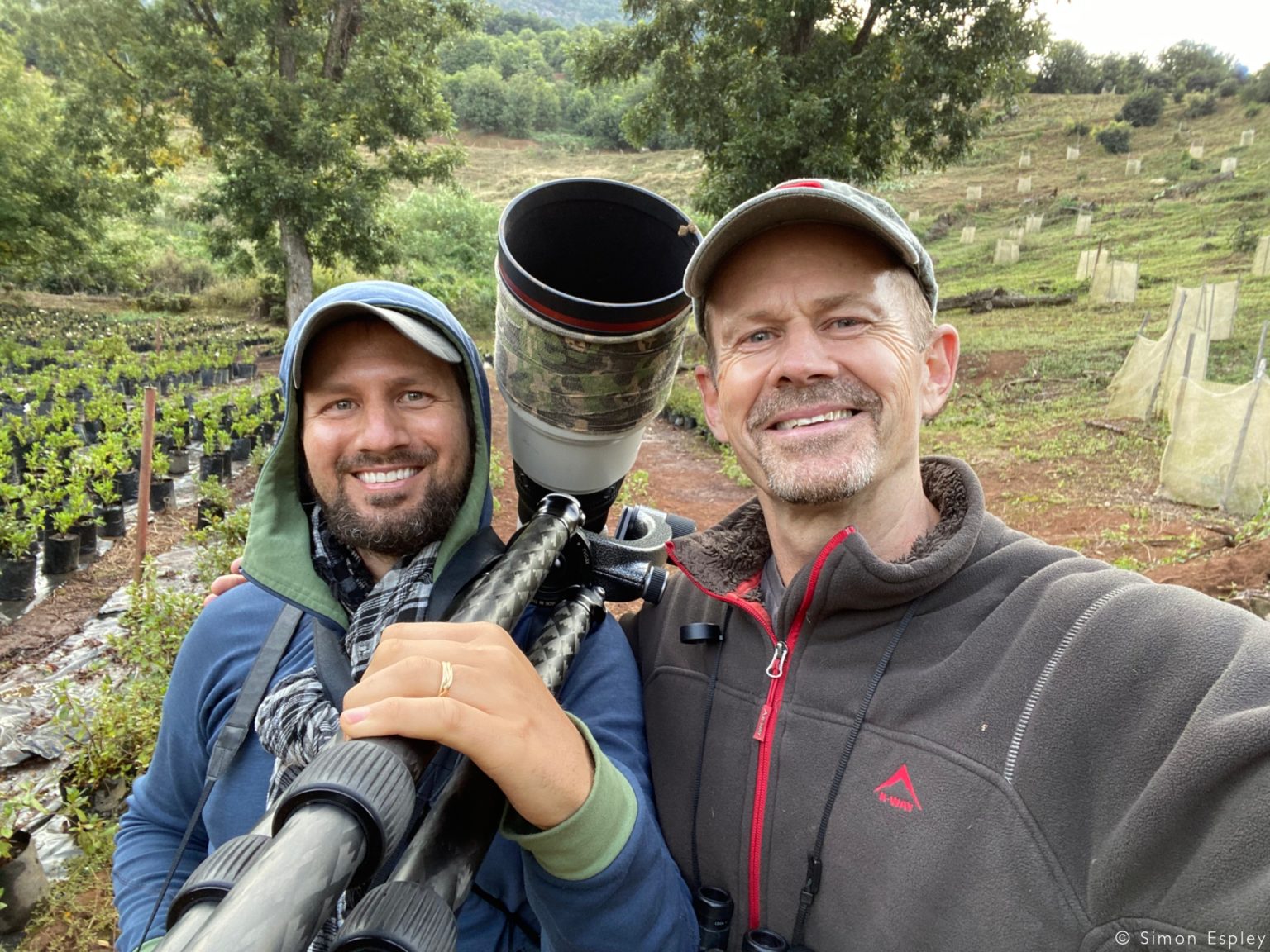 Counting the Cape parrot - Africa’s rarest - Africa Geographic