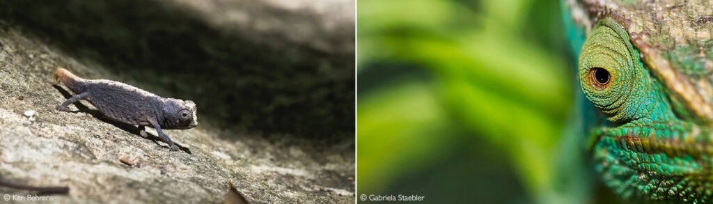 Northern Madagascar - Africa Geographic