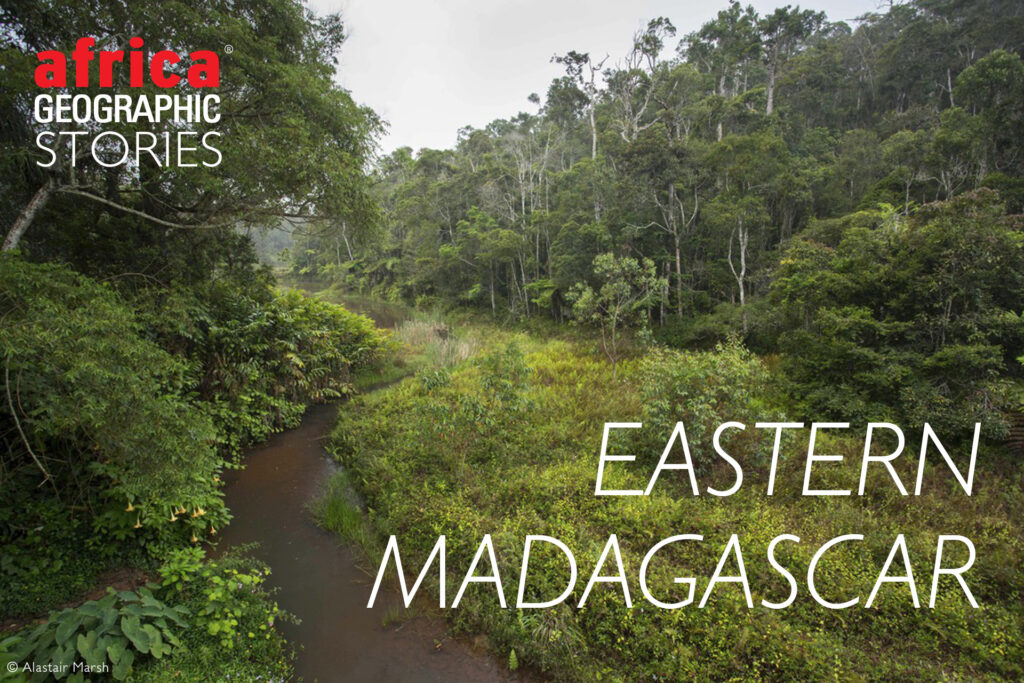 Eastern Madagascar - Africa Geographic