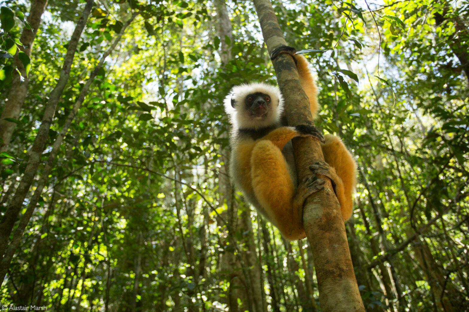 South and central Madagascar - Africa Geographic