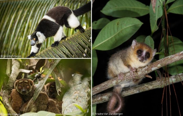 Enjoy a Madagascar journey with us