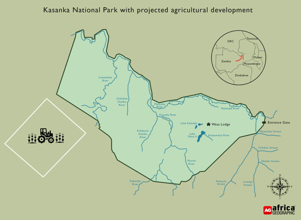 Update: Zambia’s Kasanka NP & world’s largest mammal migration under ...