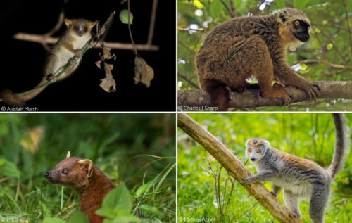 Northern Madagascar - Africa Geographic