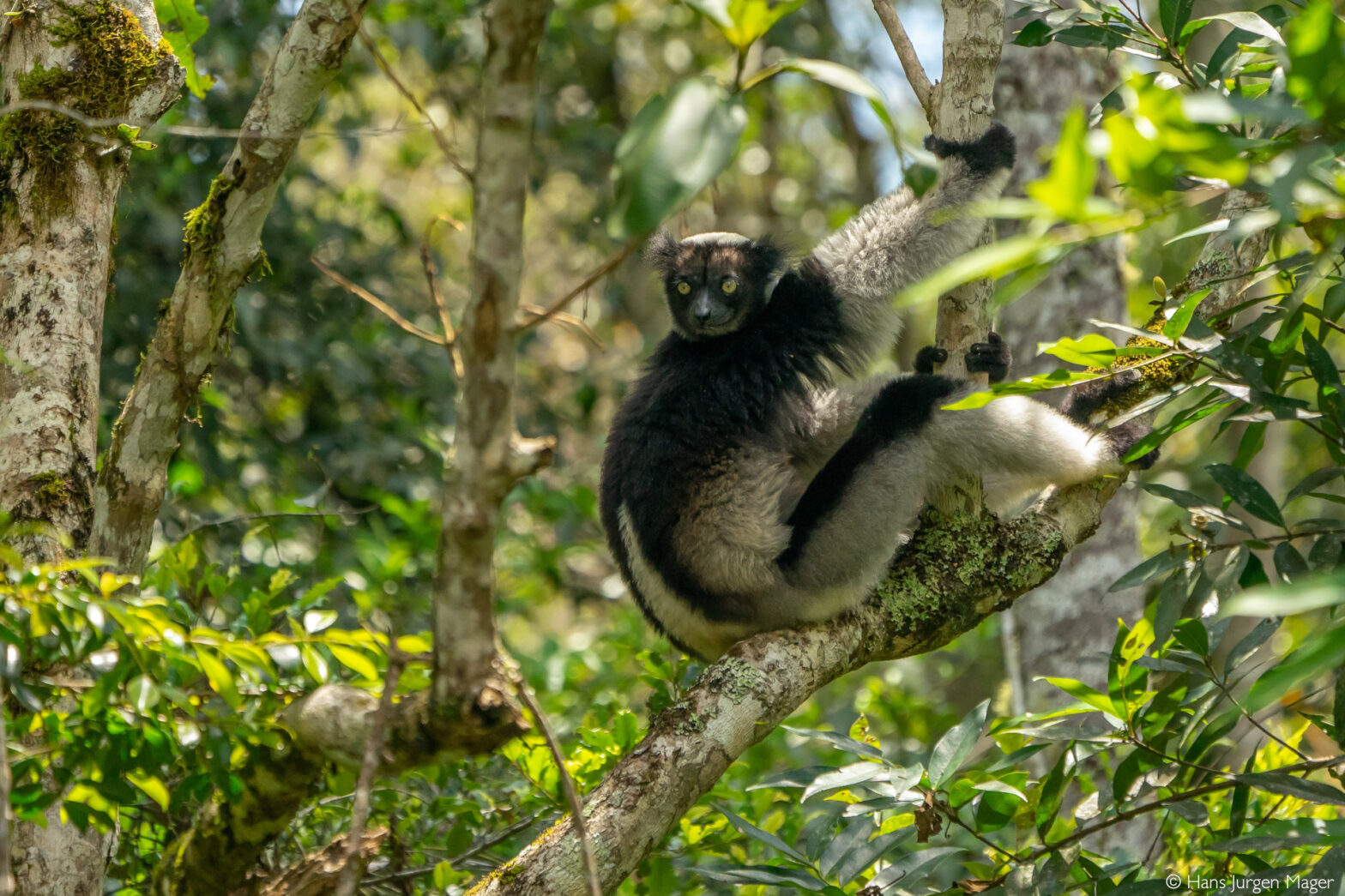 Enjoy a Madagascar journey with us