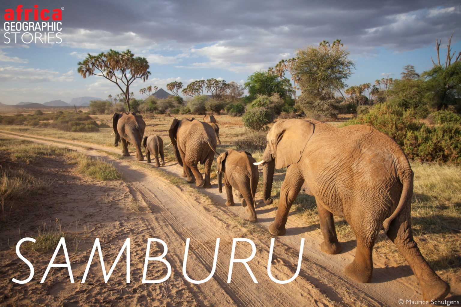 Samburu - home of the Samburu special 5 - Africa Geographic