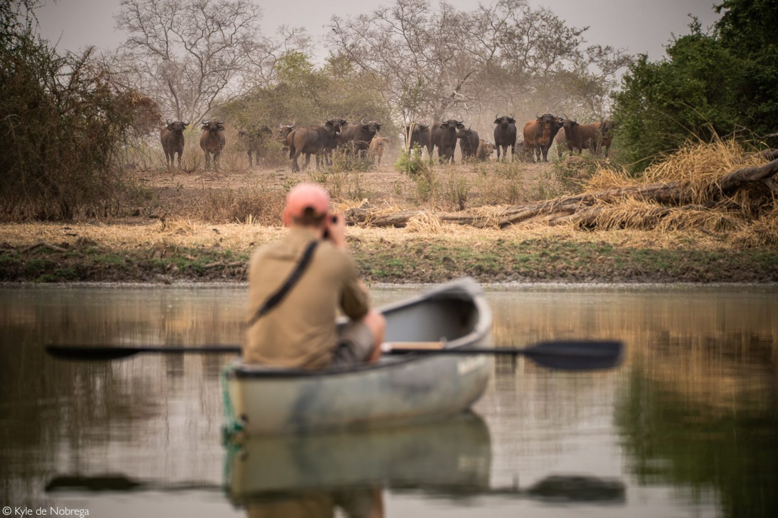 Zakouma National Park - jewel of the Sahel - Africa Geographic