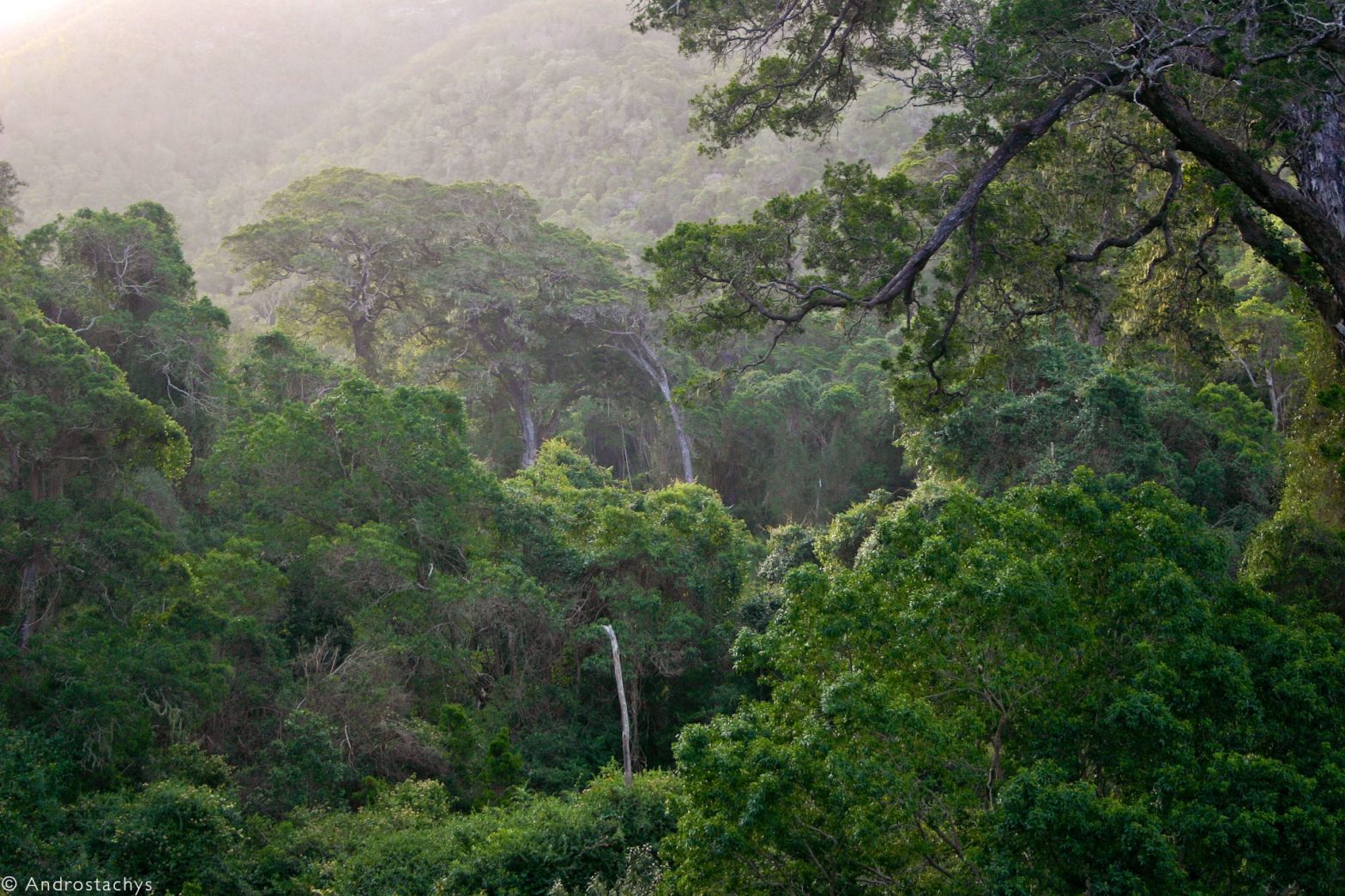 Visit the Garden Route with us
