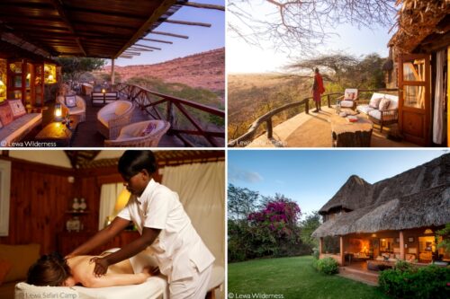 Lewa Wildlife Conservancy - Kenya’s golden child - Africa Geographic