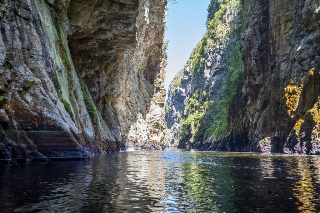 The Garden Route - South Africa’s ultimate road trip - Africa Geographic
