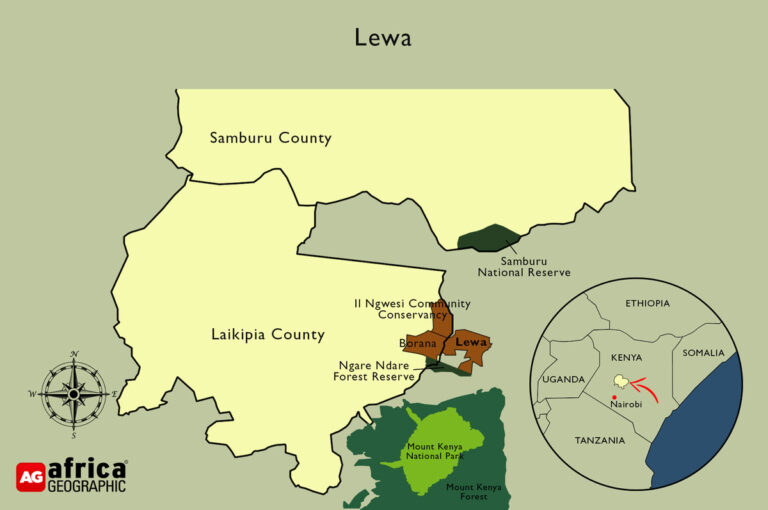 Lewa Wildlife Conservancy - Kenya’s golden child - Africa Geographic