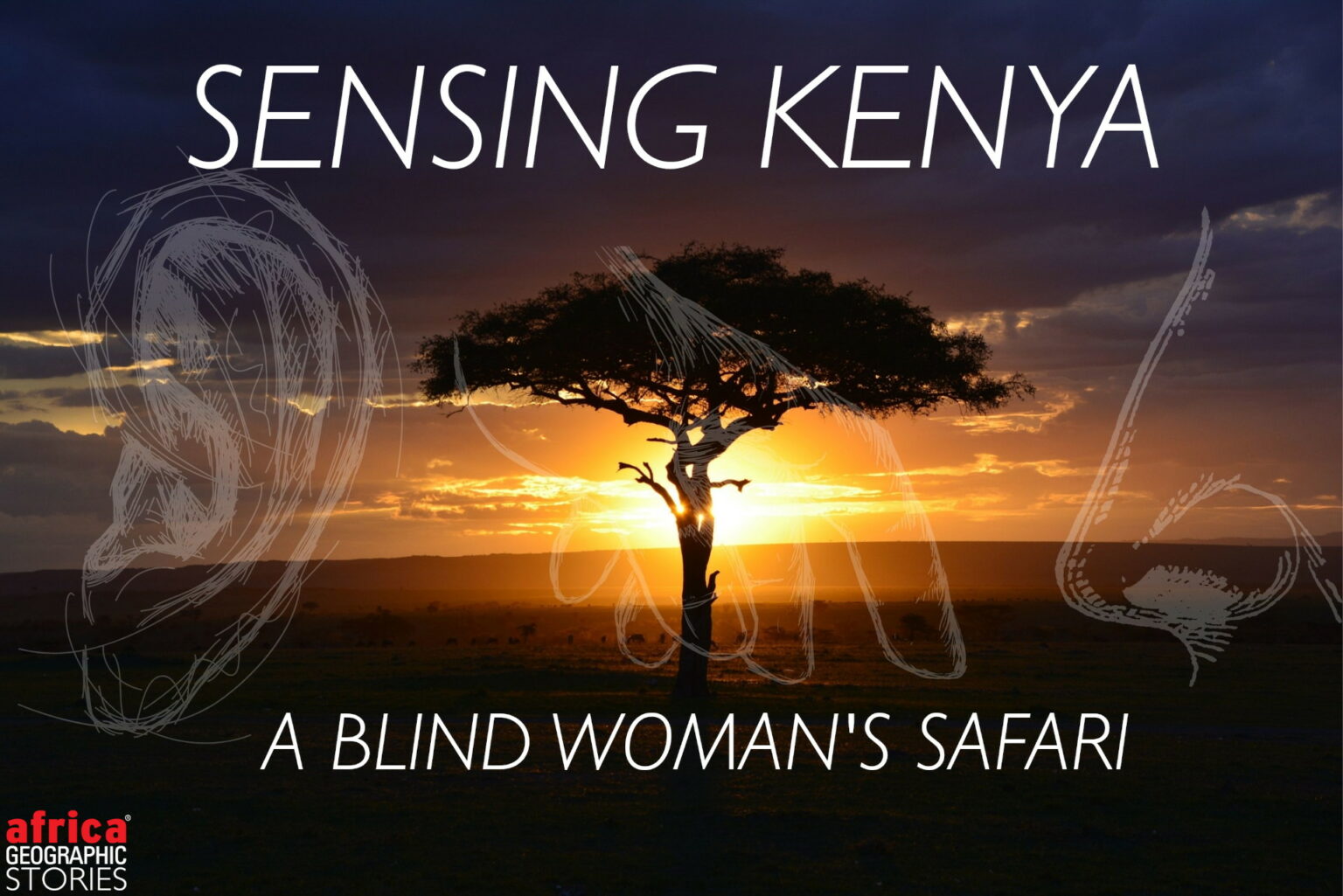 Sensing Kenya - A blind woman’s safari - Africa Geographic