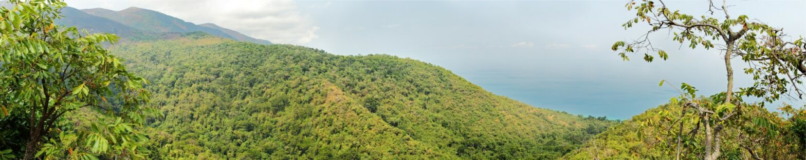 Gombe and Mahale - the chimpanzee forests of Tanzania - Africa Geographic