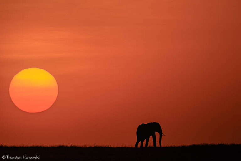Africa’s 10 most sublime sundowner spots - Africa Geographic
