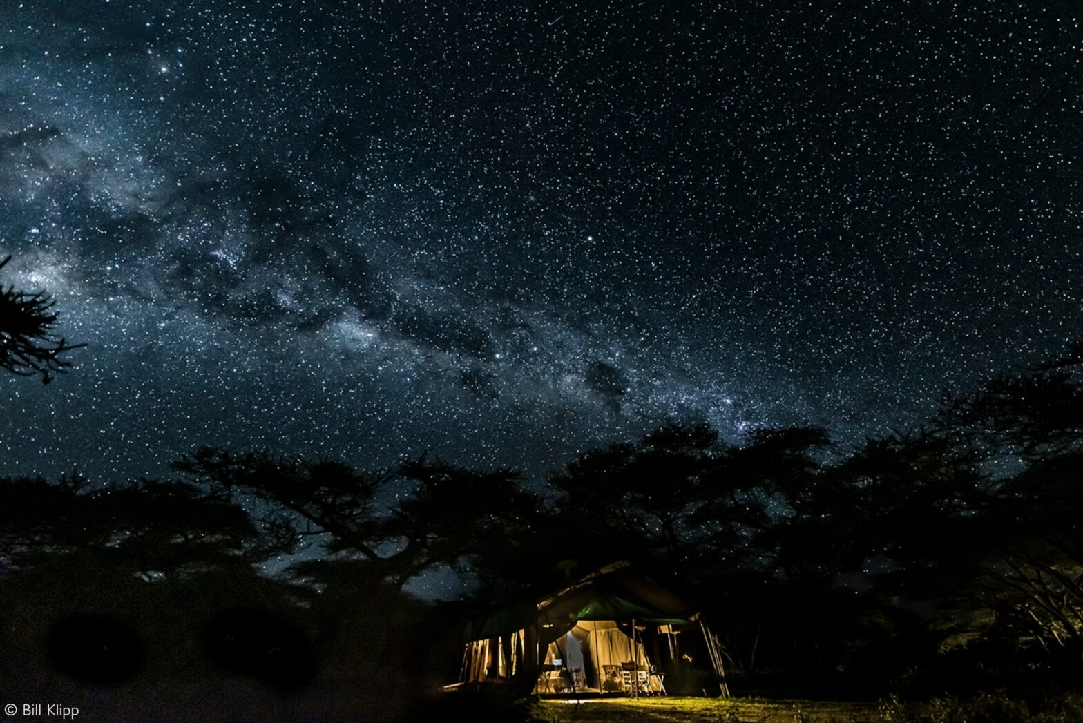 Safari time! Our favourite time of day - Africa Geographic