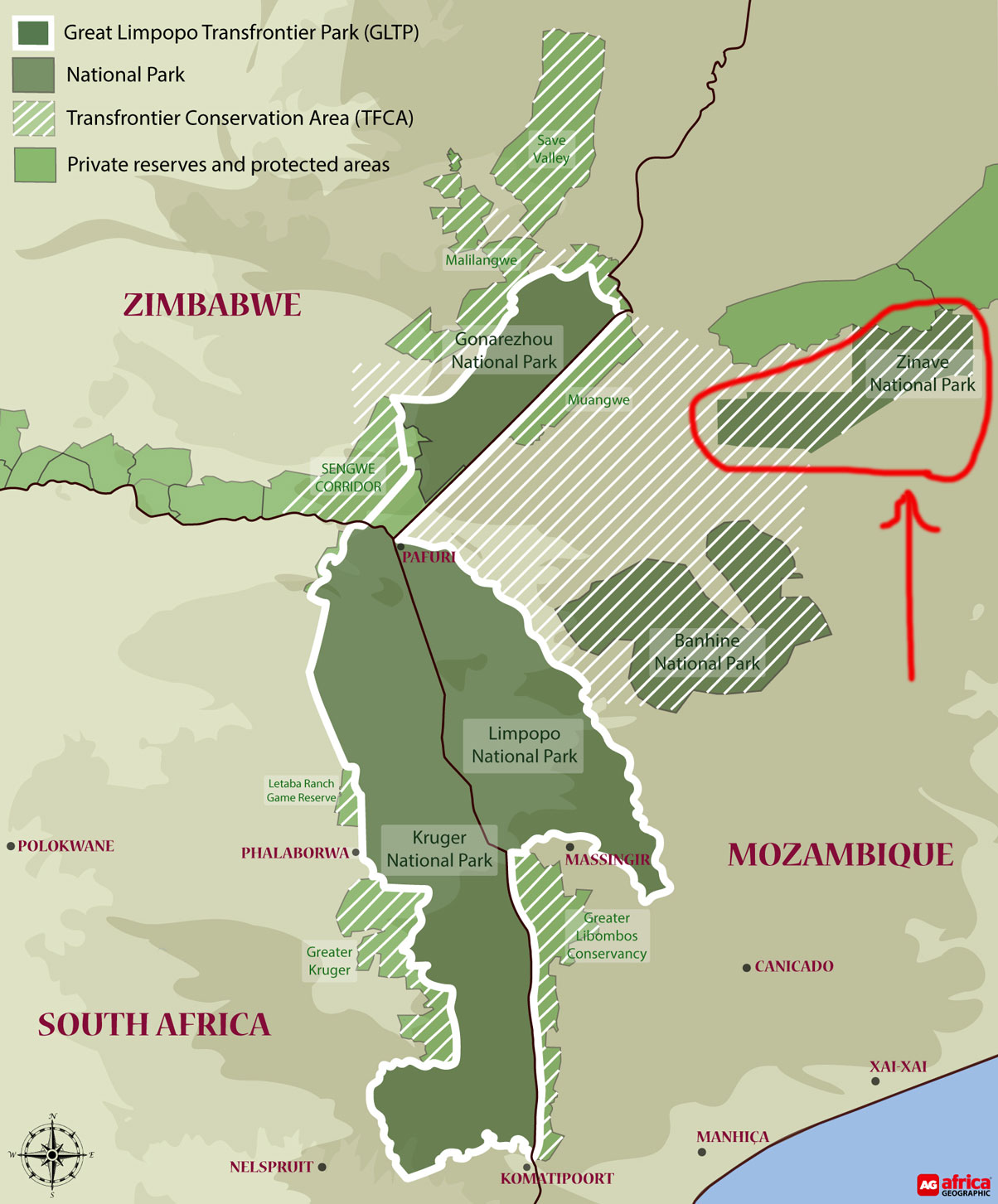 Lion nomad settles in Zinave NP - first in 30 years - Africa Geographic