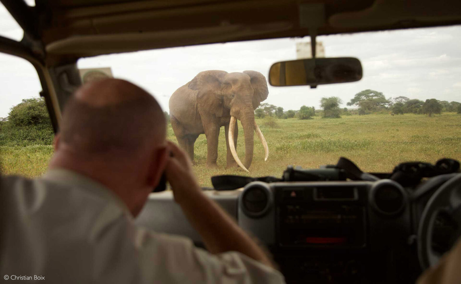 Time with super tuskers - Africa Geographic