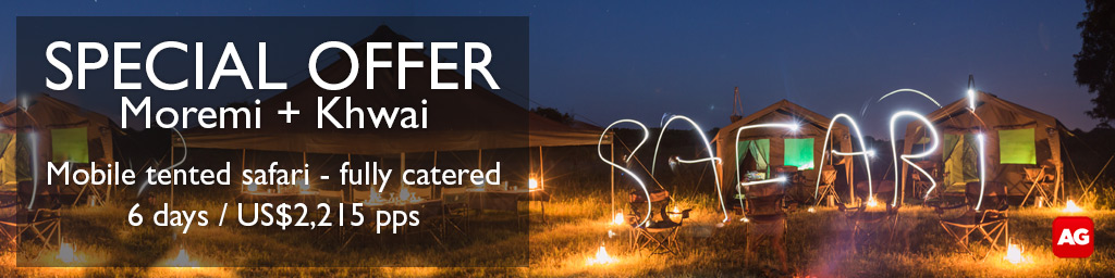 Elephant body language 101 – a guide for beginners - Africa Geographic