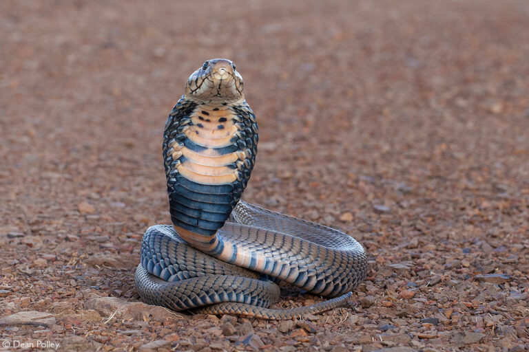 Photographer of the Year 2022 Weekly Selection: Week 3 - Africa Geographic