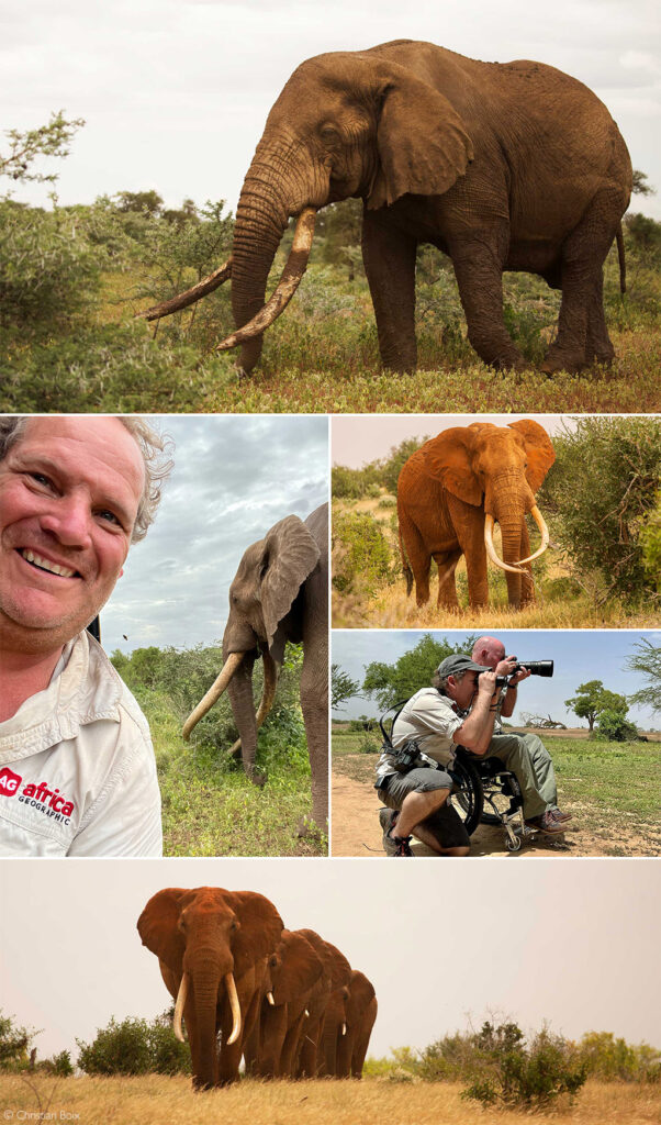 Time with super tuskers - Africa Geographic