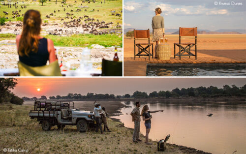 6 beers to order on safari - Africa Geographic