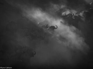 Photographer of the Year 2022 Weekly Selection: Week 4 - Africa Geographic