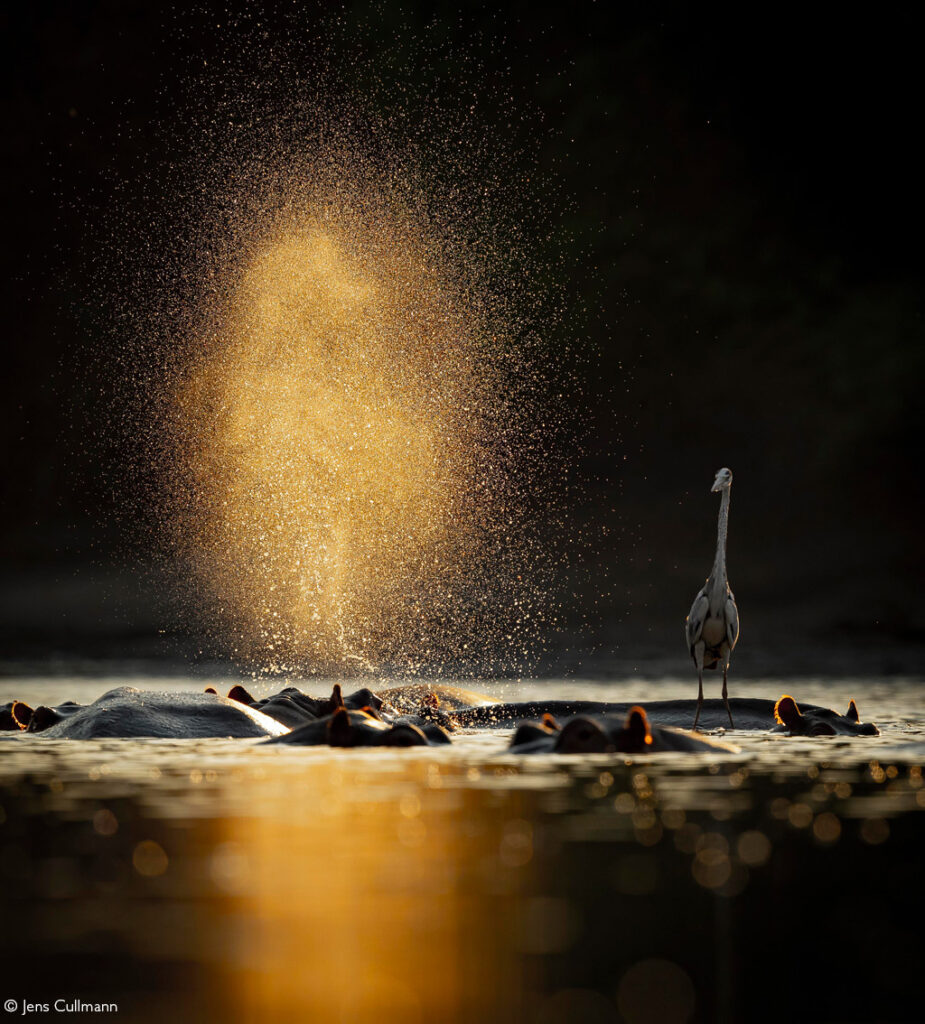 Photographer of the Year 2022 Weekly Selection: Week 4 - Africa Geographic